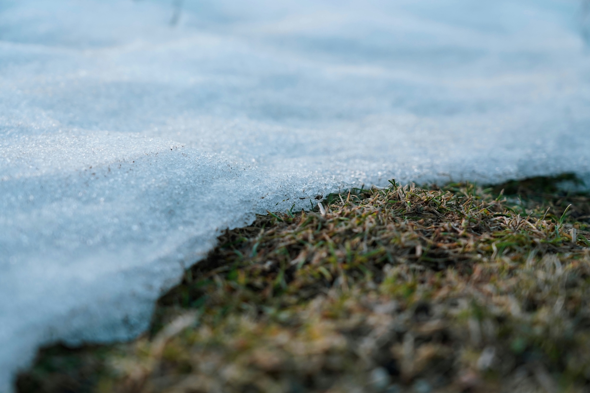 Winter Lawn Prep: 5 Mistakes to Avoid - Green Horizon